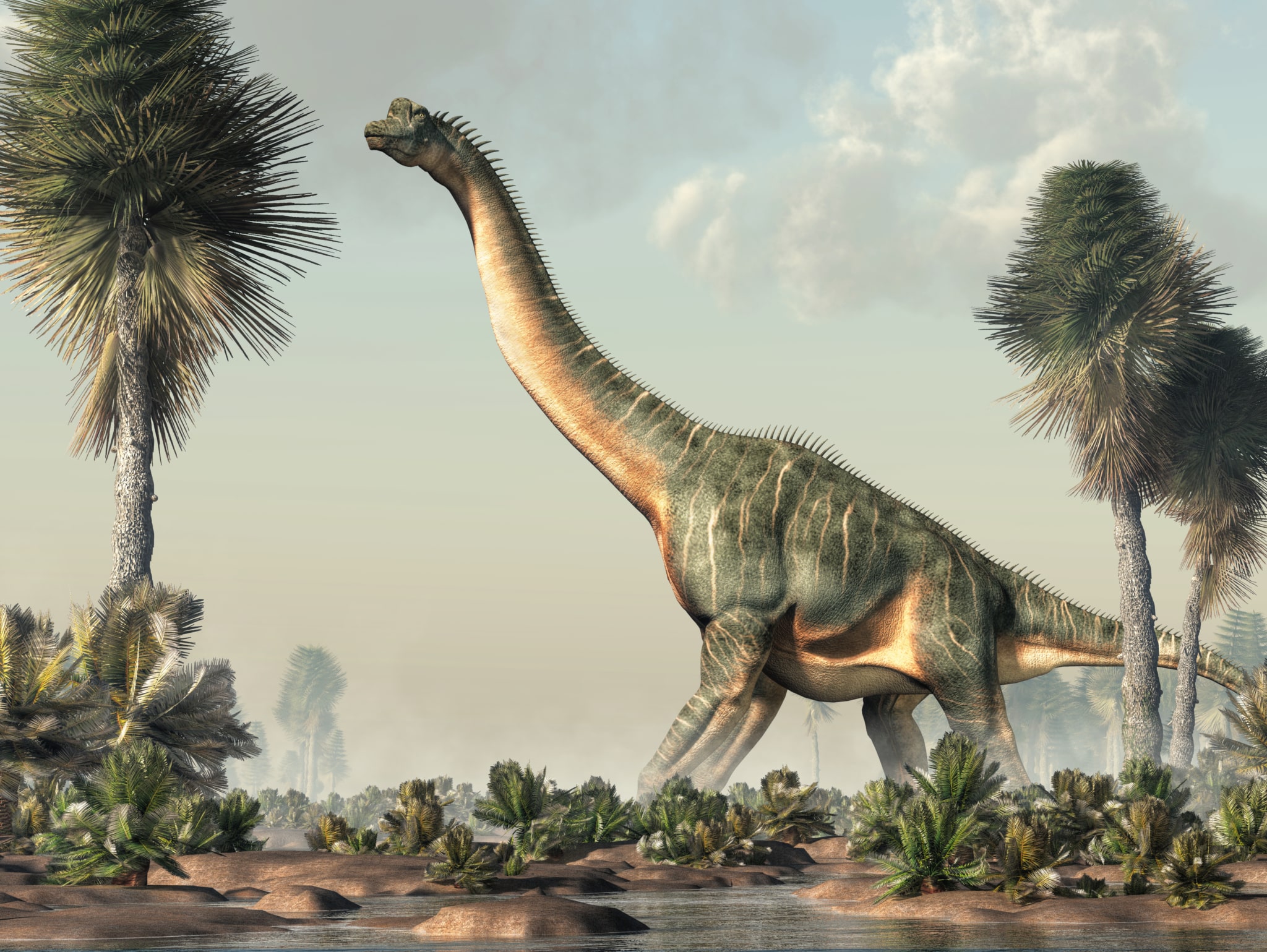 Brachiosaurus: Steckbrief + 7 Merkmale des Dinosauriers » schreiben.net
