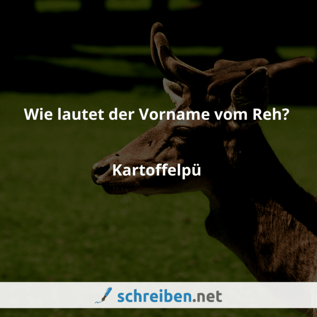 130 kurze Witze für jeden Humor (+ Top 10) » schreiben.net