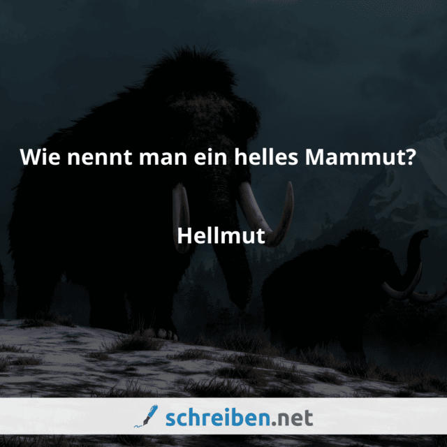 130 kurze Witze für jeden Humor (+ Top 10) » schreiben.net