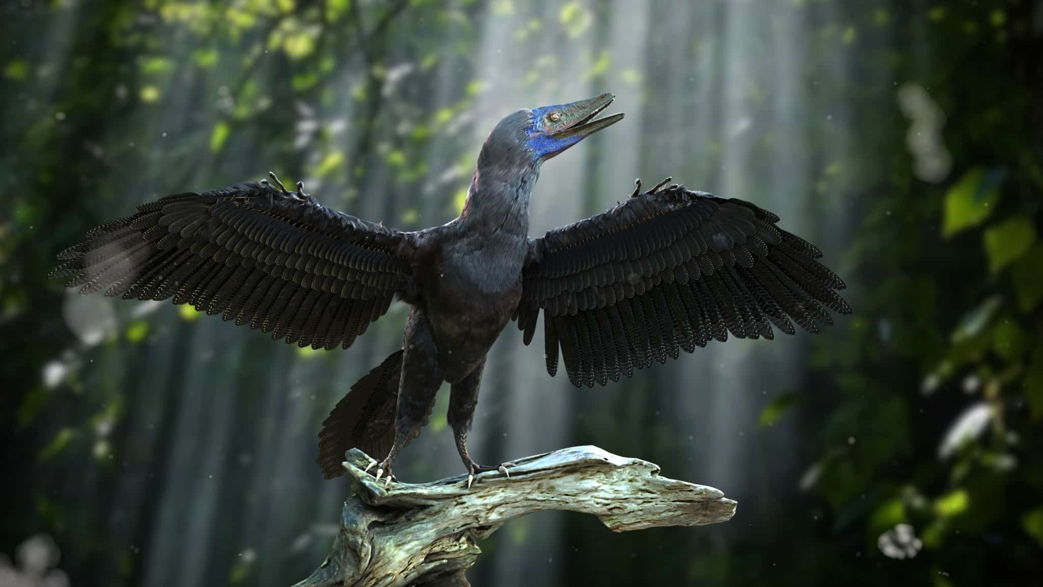 Archaeopteryx: Steckbrief + 7 Merkmale des Urvogels » schreiben.net
